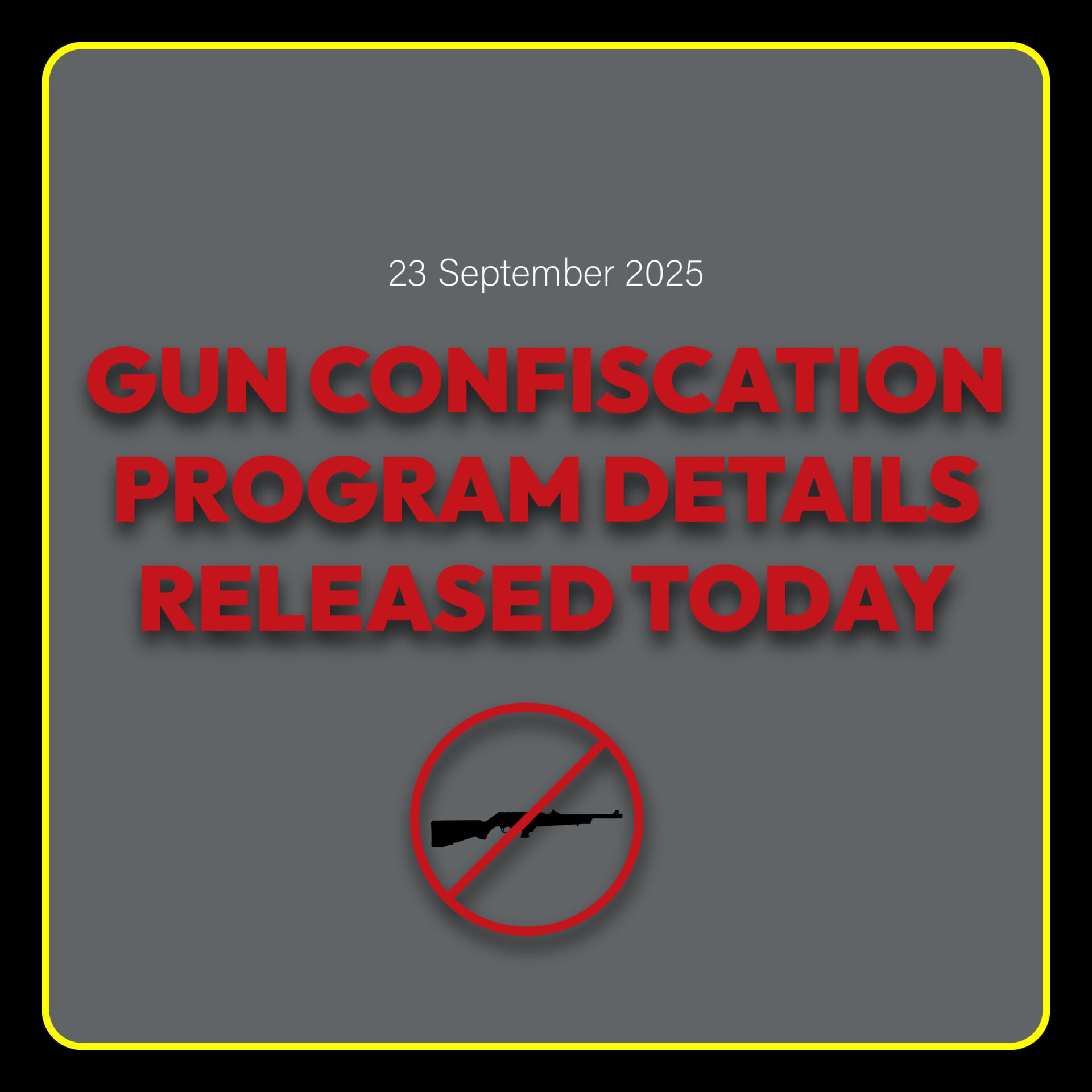 Public Safety Releases Gun Confiscation Pilot Program, Details ...